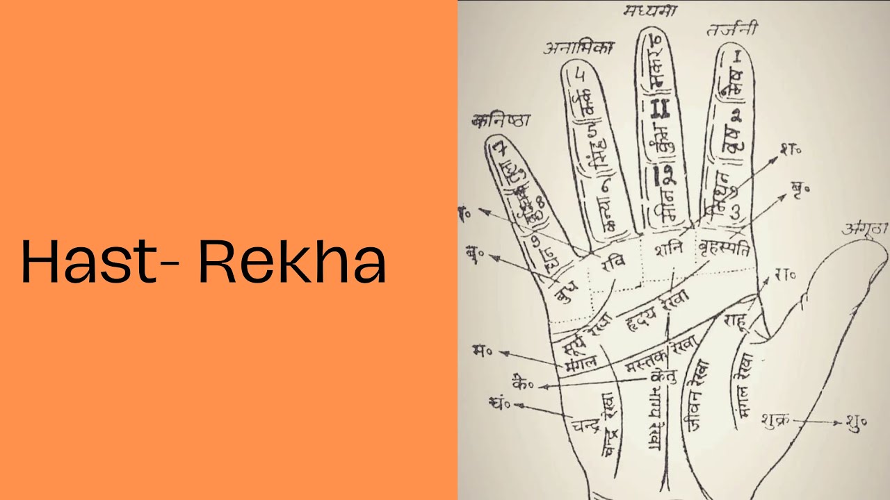 Hast-Rekha, Chetan Kashyap, Jhalawar -Rajasthan #hastrekha #palmreading ...