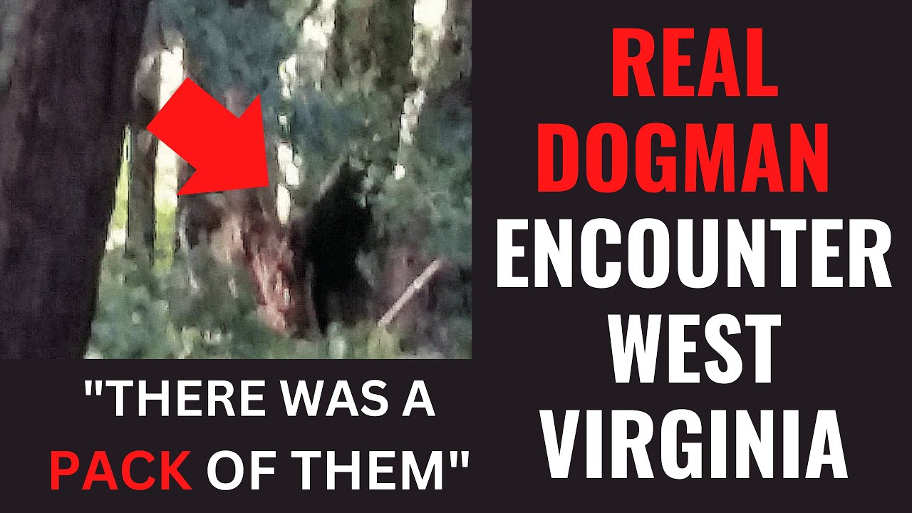 Terrifying Dogman Encounter : MAN ENCOUNTERS A PACK OF DOGMEN IN WEST ...