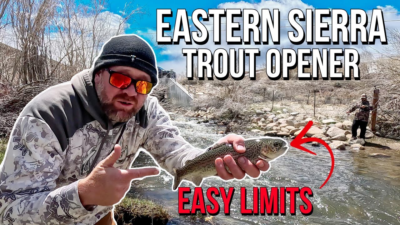 Bridgeport's Hidden Gem | Trout Fishing the Little Walker River | 2024 ...