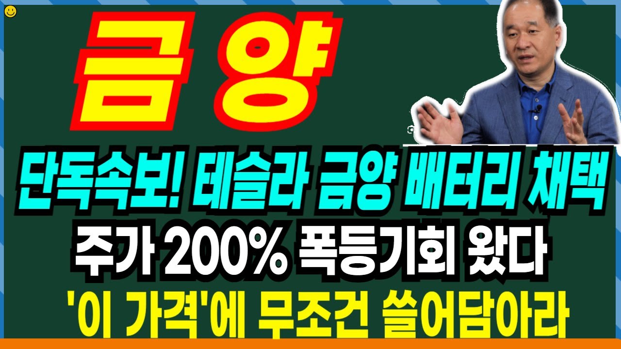 금양 금양주가 단독속보 테슬라 금양 배터리 채택 주가 200 폭등기회 왔습니다 5조원 수주 터졌다 금양