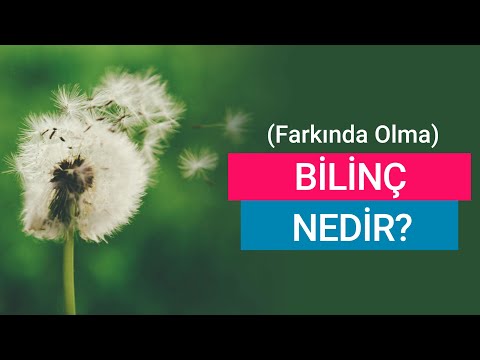 Bilinç Nedir? (Farkında Olma) - Anlatımlı Video
