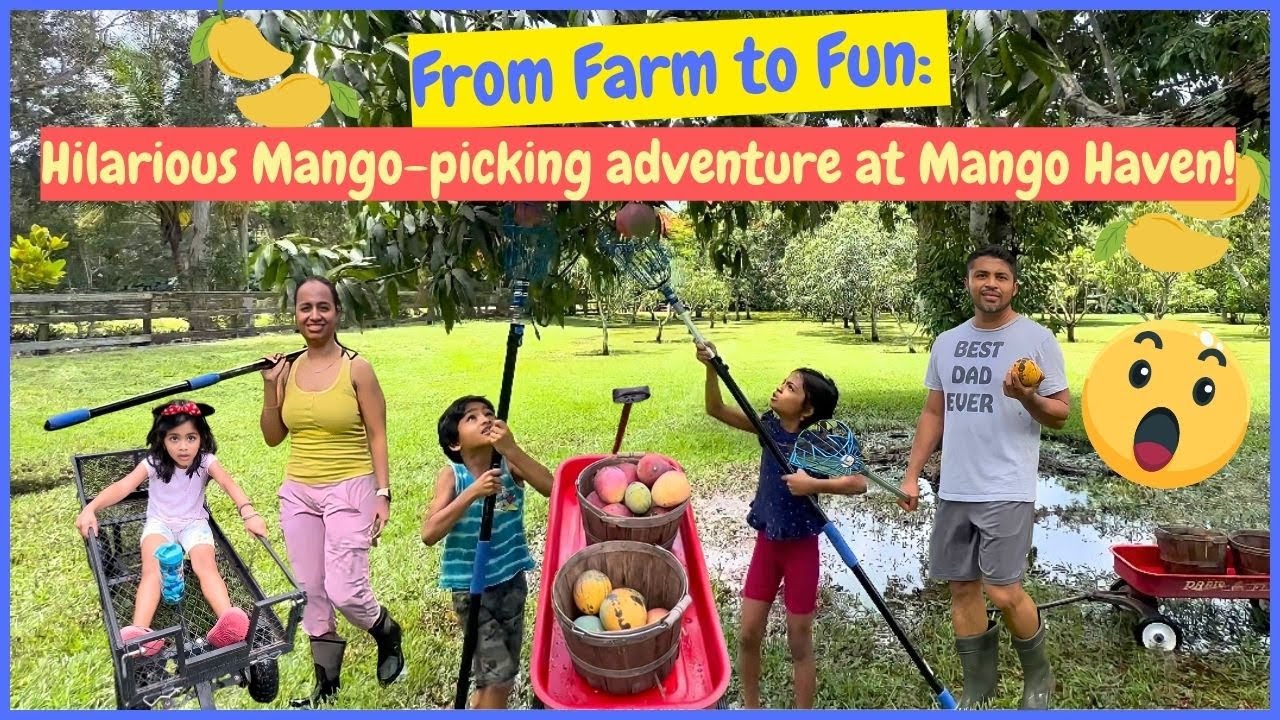 Mango Madness Unleashed! Hilarious Mango-Picking Fun with Kids at Mango Haven! | The Roshys ...