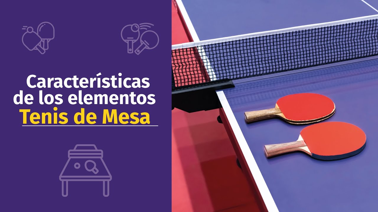 Características de los elementos del Tenis de Mesa - YouTube