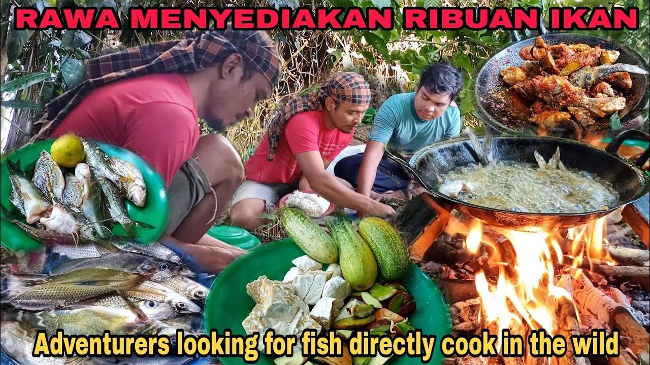 Adventurers looking for fish directly cook in the wild || Petualang ...