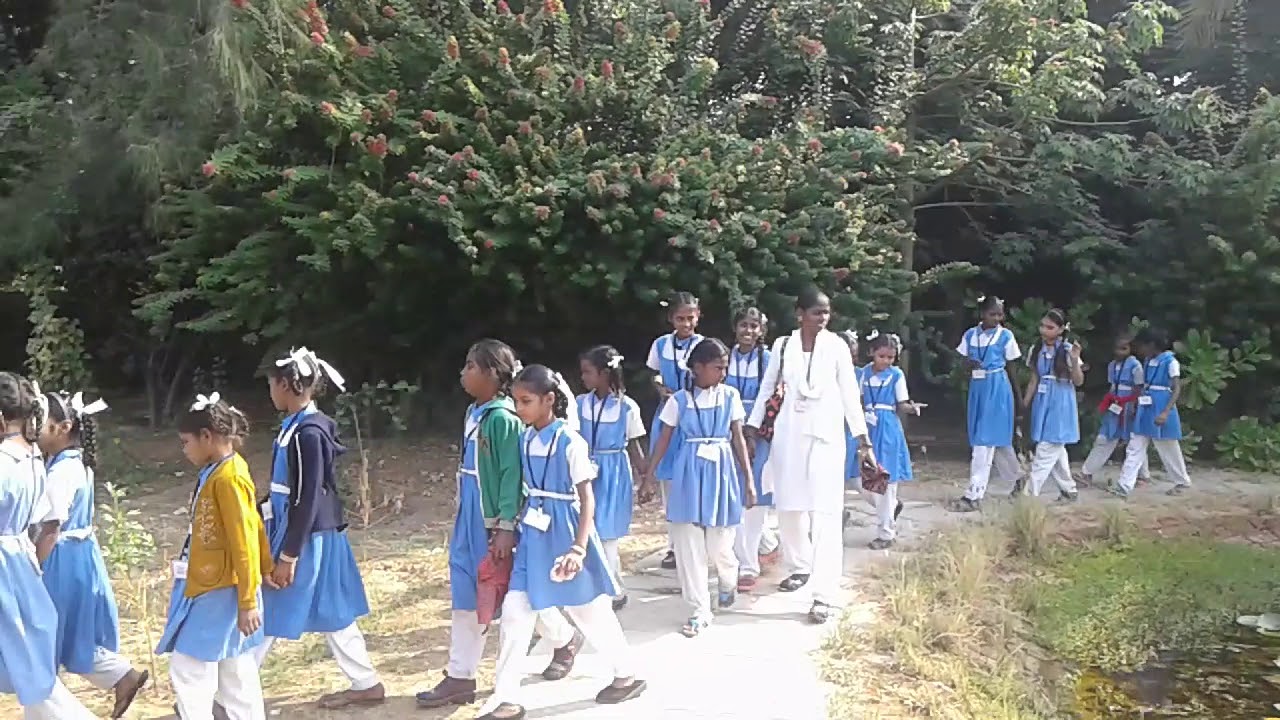 09 November, 2017 - Serenity Library and Botanical Garden Visit - YouTube