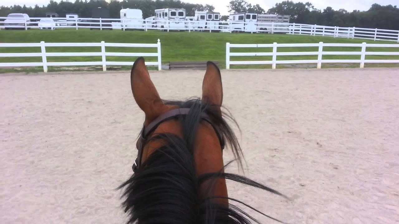Walk trot in the ring - YouTube