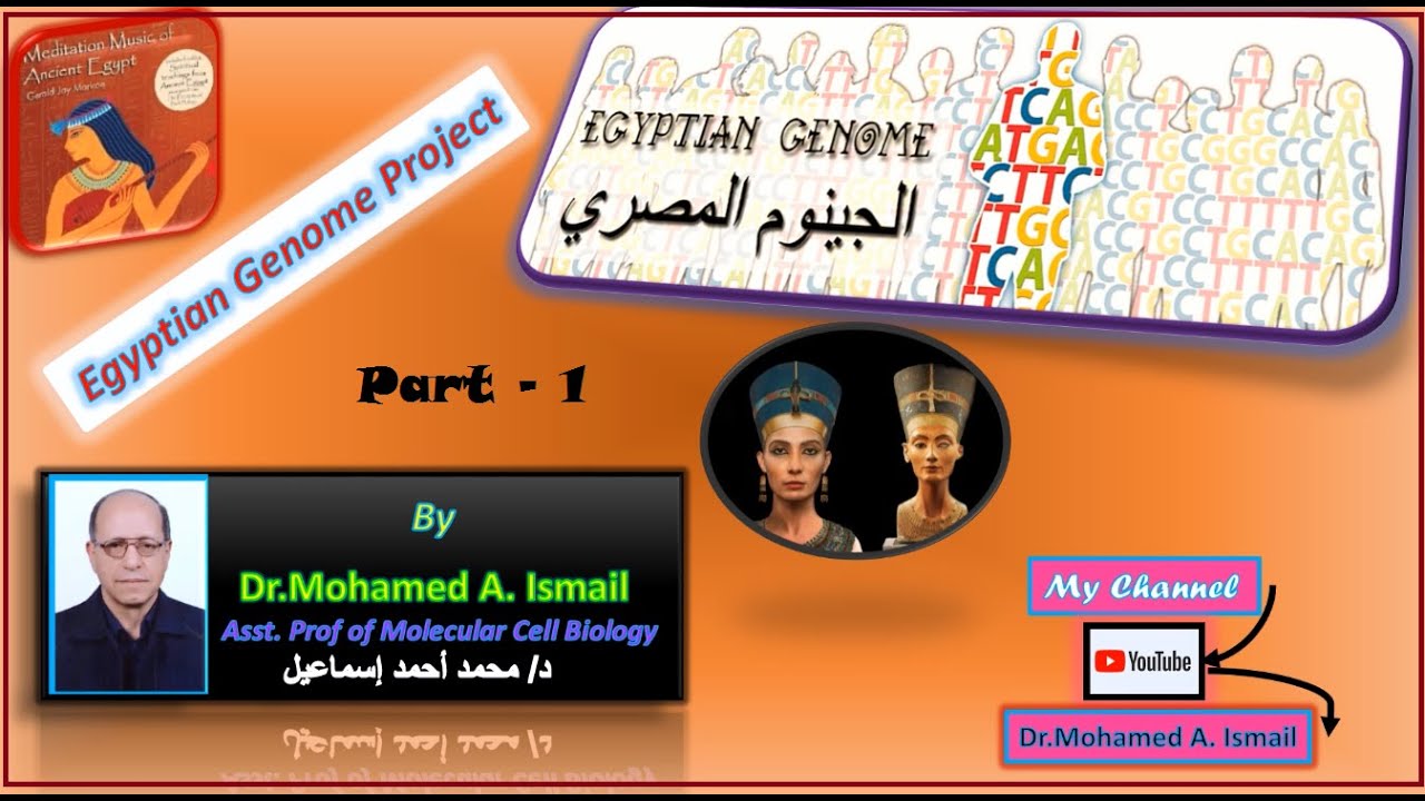 Egyptian Genome Project (Part -1) مشروع الجينوم المصري (الجزء الأول ...