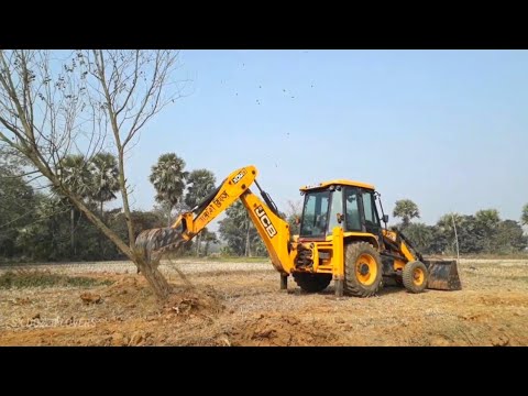 JCB vs small tree | Powerful jcb Pushing Down a small Tree | jcp ...