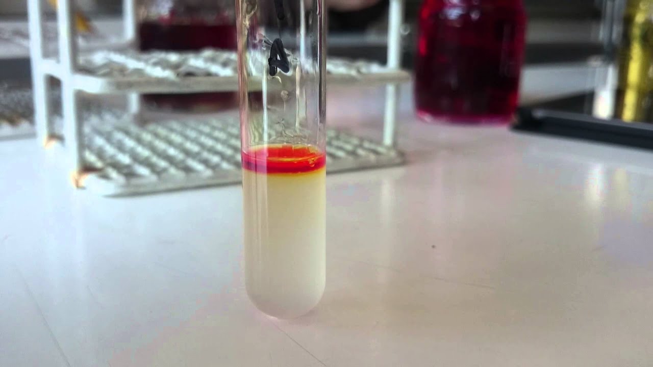 Prueba Rojo Metilo Youtube 0345