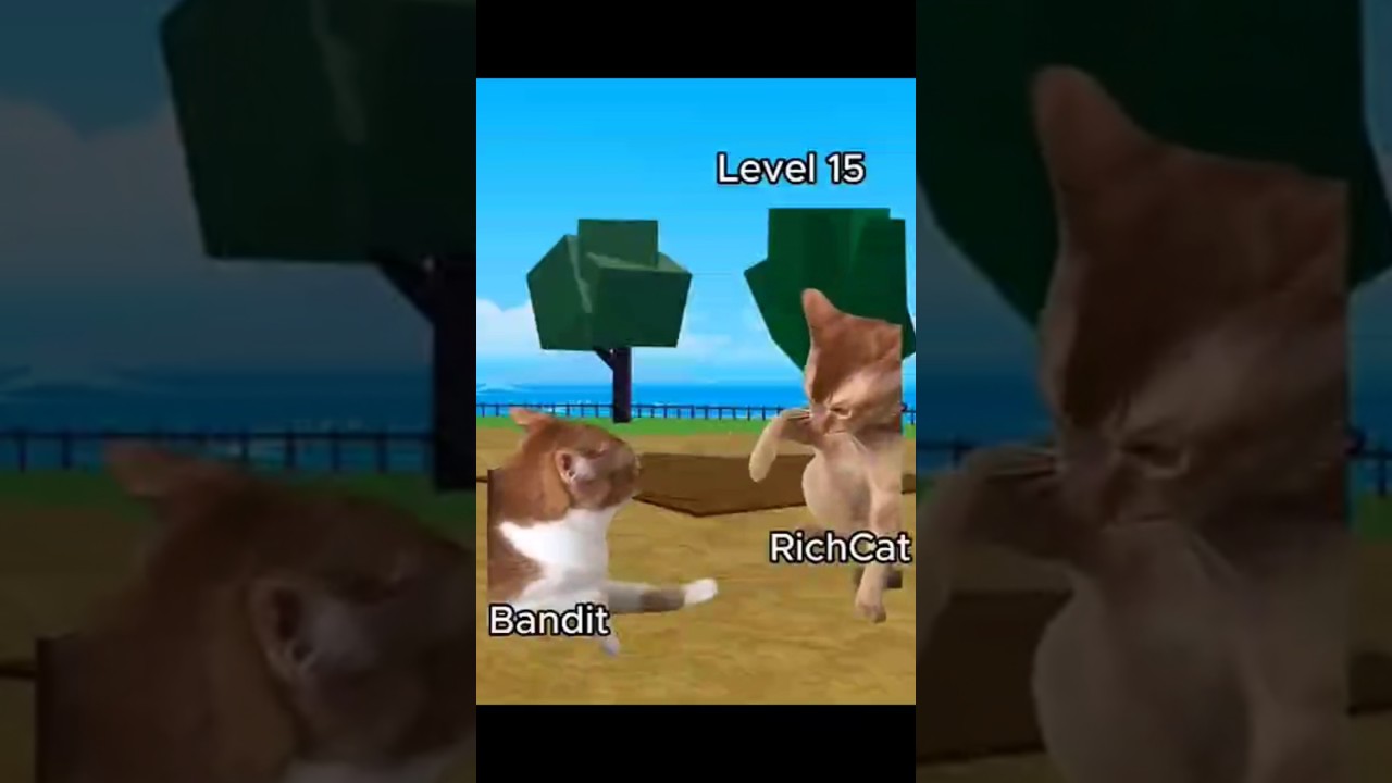 A cat play blox fruit with speed run #roblox #shorts thank you for ...