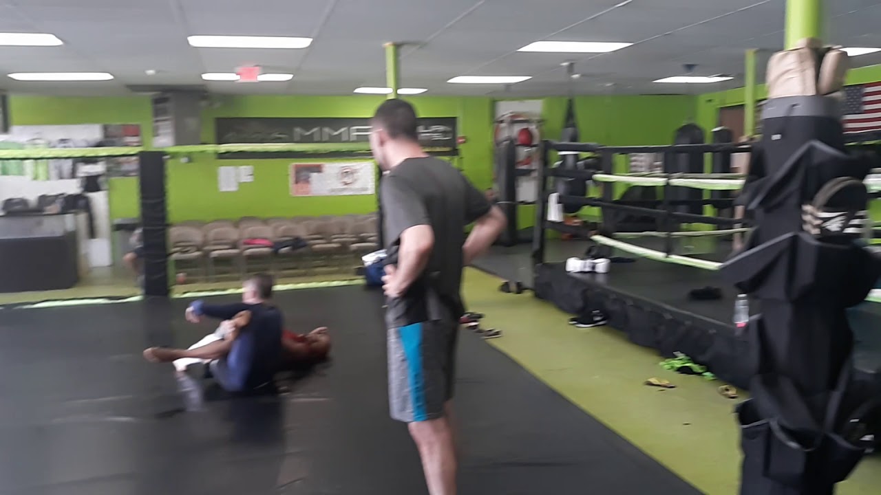 ANIMALS MMA YONKERS - YouTube
