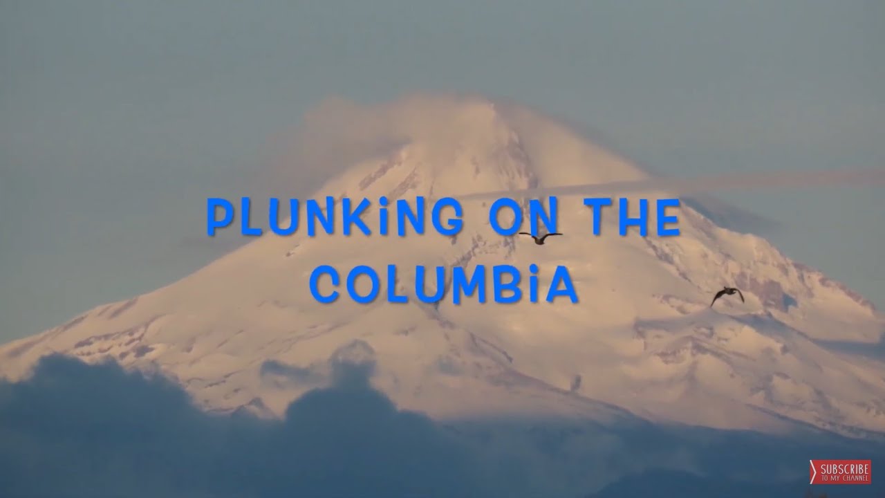 Plunking on the Columbia - YouTube