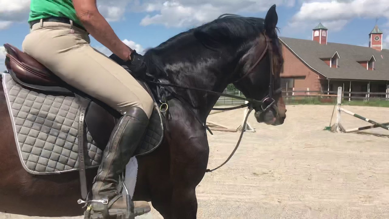 Marvelous Marvin and Sue Lyman - YouTube