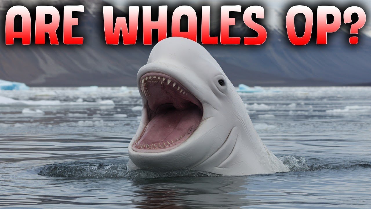 The Whale Tier List Analysis | From Small Fish to Giants! - YouTube