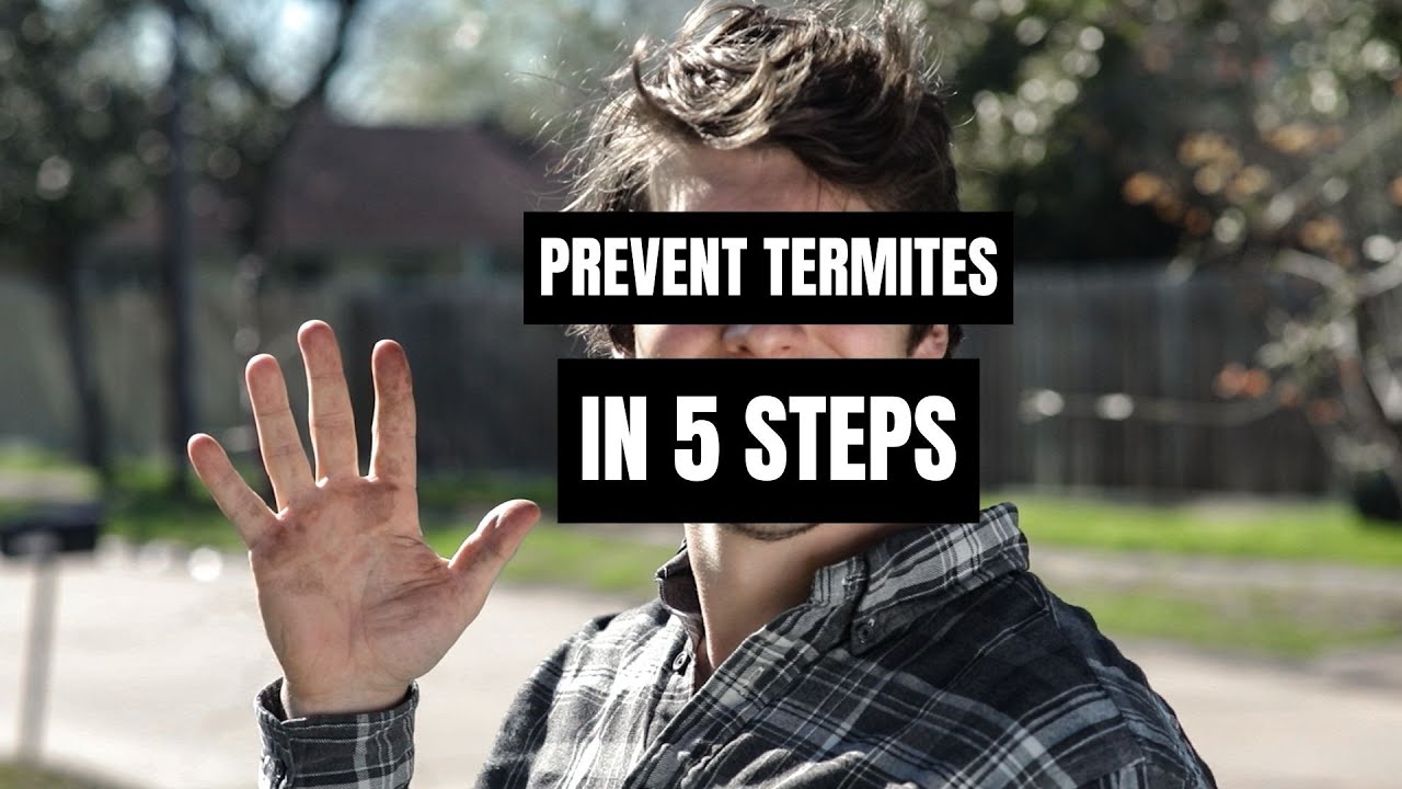 DIY Home Maintenance | Prevent and Deter Termites - YouTube
