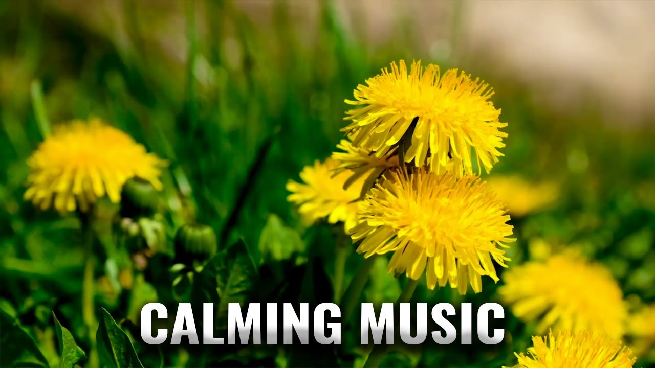 Calming Music for Mindfulness, Meditation, and Spiritual Healing 🌿 Embrace Peace and Inner Calm ...