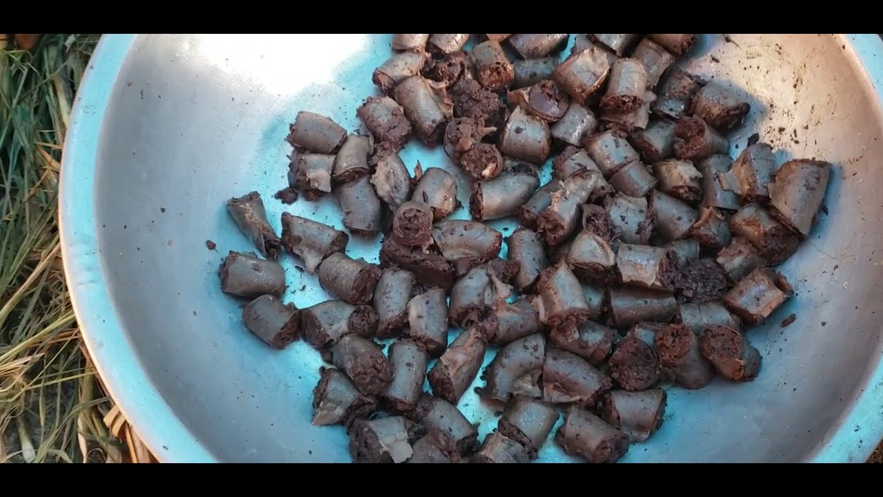 Chocolate Meat Sausage #pinuneg #watwat - YouTube