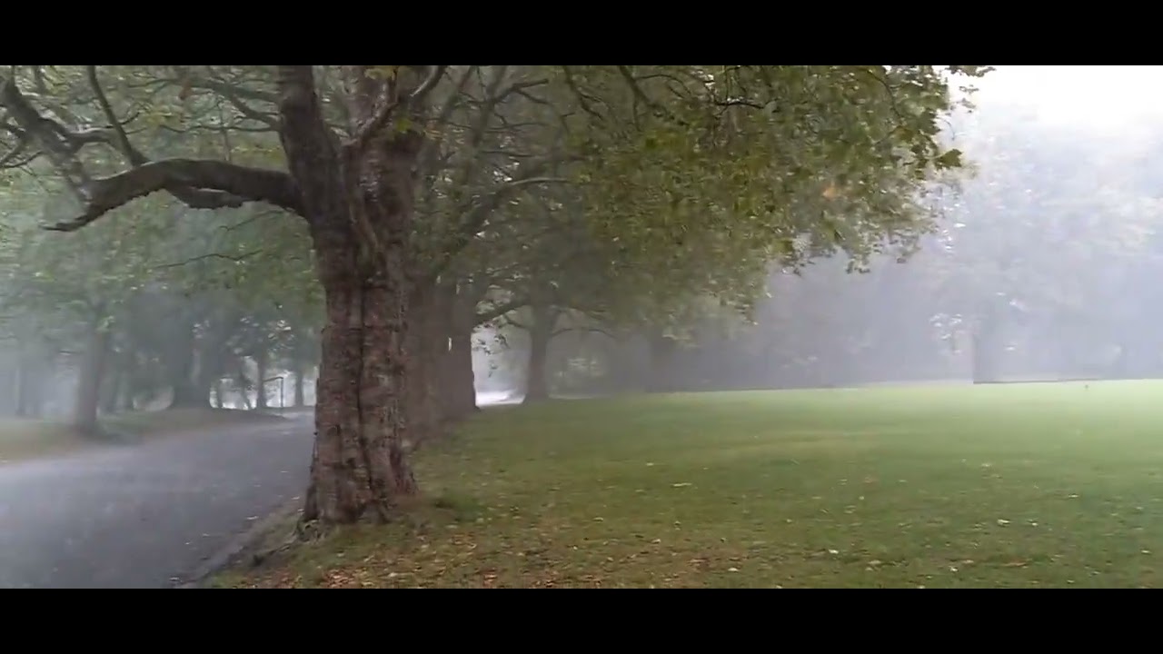Sudden Cloud burst rain - YouTube