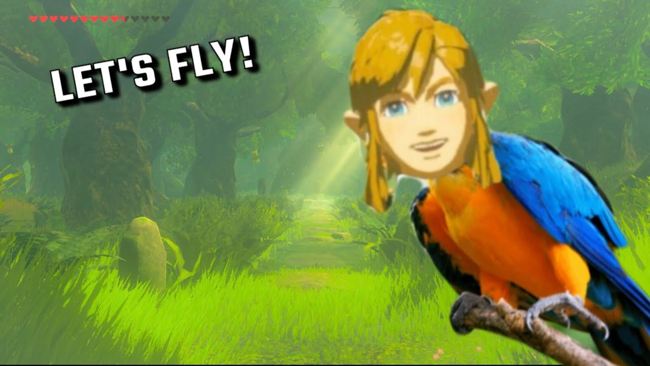 Pushing the Bird-Man Minigame To Its Limits! (Zelda Breath of the Wild ...