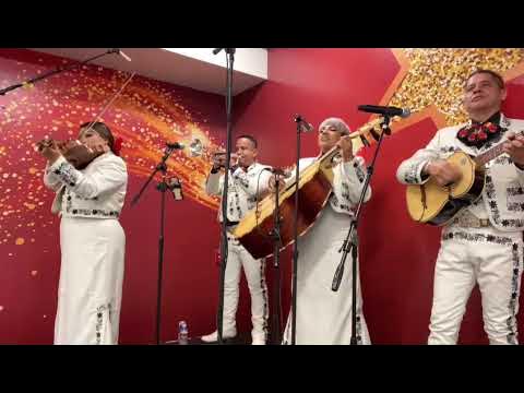 los "Laureles" Mariachi Mi San Diego!!! 🎤🎺🎻🎵 - YouTube
