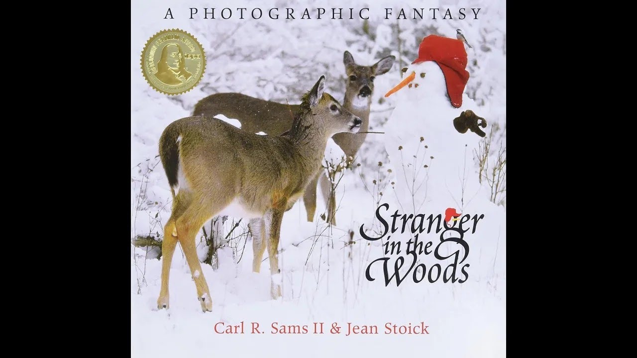 Stranger in the Woods Read Aloud by Carl R Sams II and Jean Stoick ...