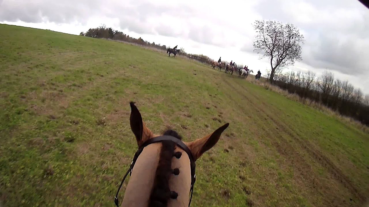 Farmers Bloodhounds 01.12.13 Hedge Hopping Part 4 - YouTube