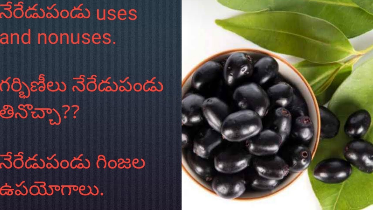 neredu pandu uses and nonuses, pregnant lady neredu tinocha? neredu ...