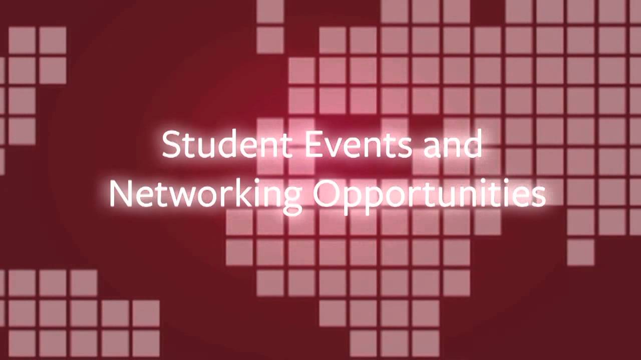 LSBF: Take your career further at the London School of Business and ...