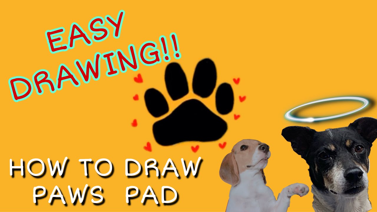 HOW TO DRAW PAWS 🐾 | STEP BY STEP | VERY EASY | FOR BEGINNER - YouTube