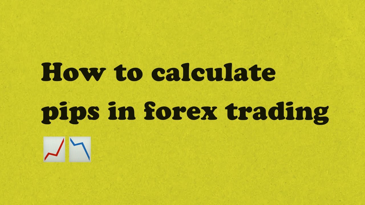 How to calculate pips in forex📉📈 - YouTube