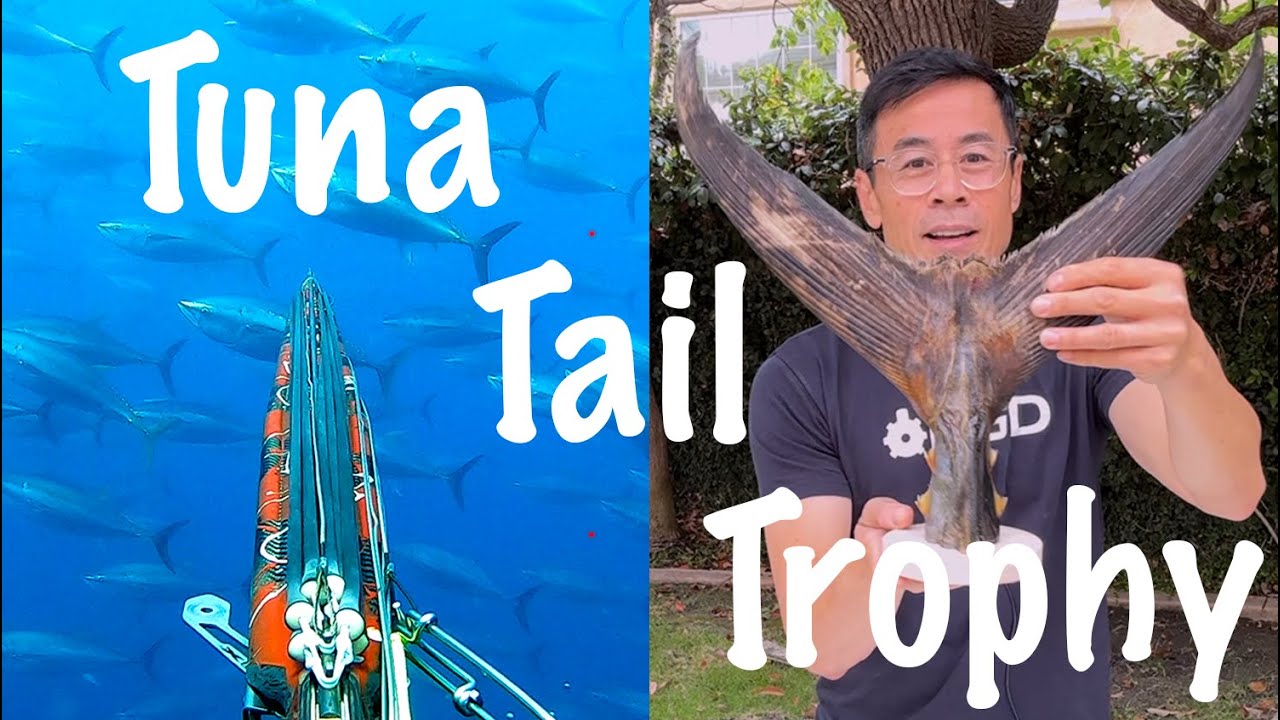 How to make a Tuna Tail Trophy! - YouTube