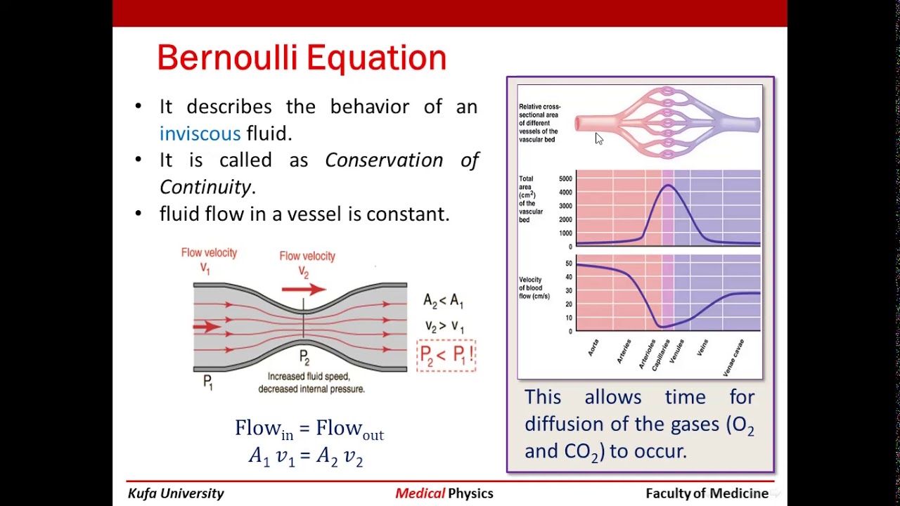 Physics of Cardiovascular System - Part 2 - YouTube
