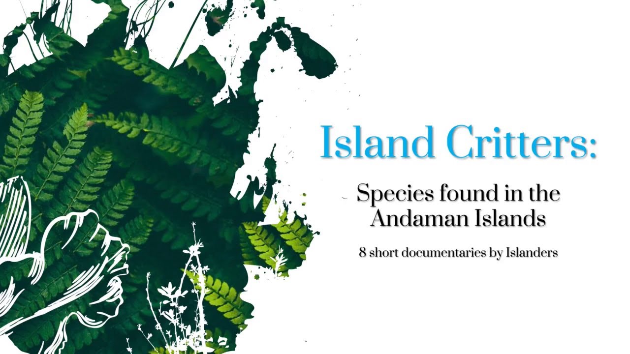 Island Critters: Species found in the Andaman Islands | 8 short ...
