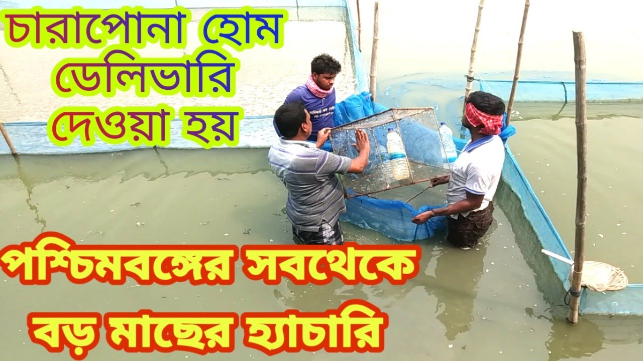 The Biggest Fish Seed Hatchery |Low Cost Fish Seed - YouTube