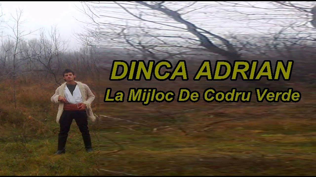 Dinca Adrian - La mijloc de codru verde - YouTube