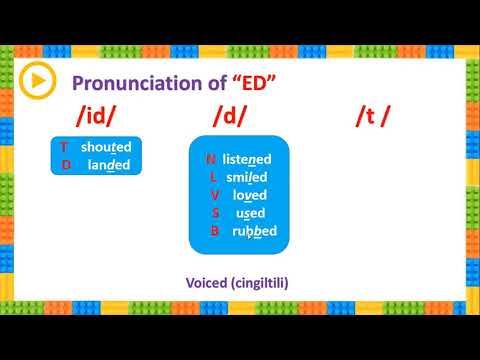4-cü sinif İngilis dili - 4th grade English - Past simple tense