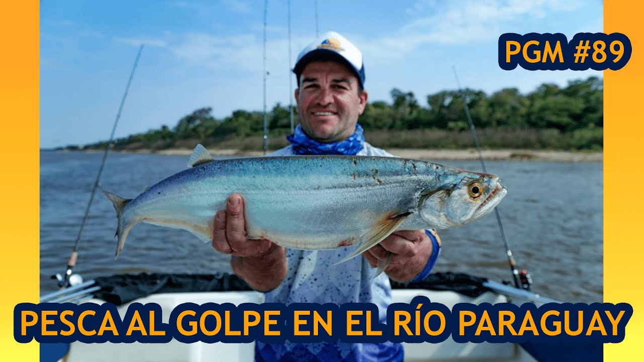 Pesca al golpe en rio Paraguay - YouTube