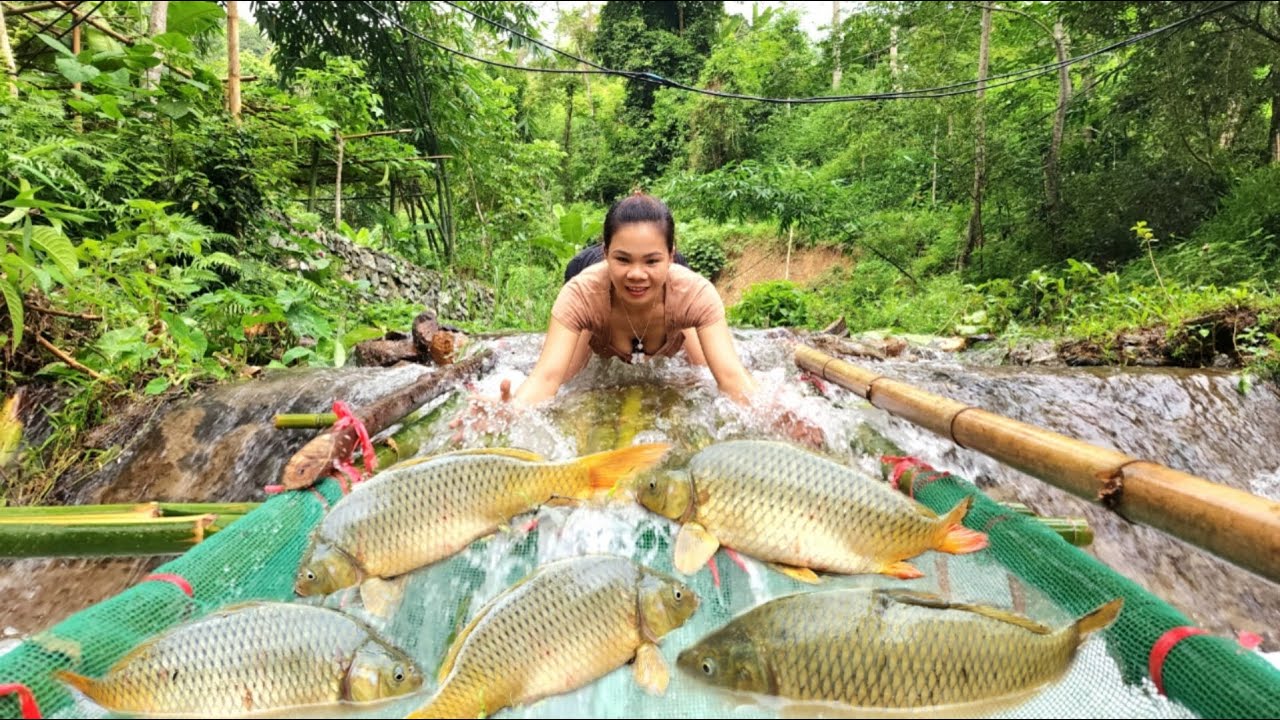 Ana trapped fish using rudimentary methods, collecting nearly 20kg of ...