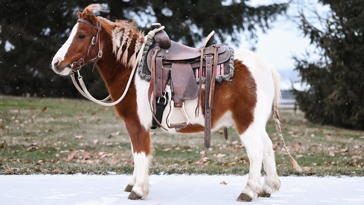 “Chester the Chunk” Rides/Drives Kid Pony - YouTube