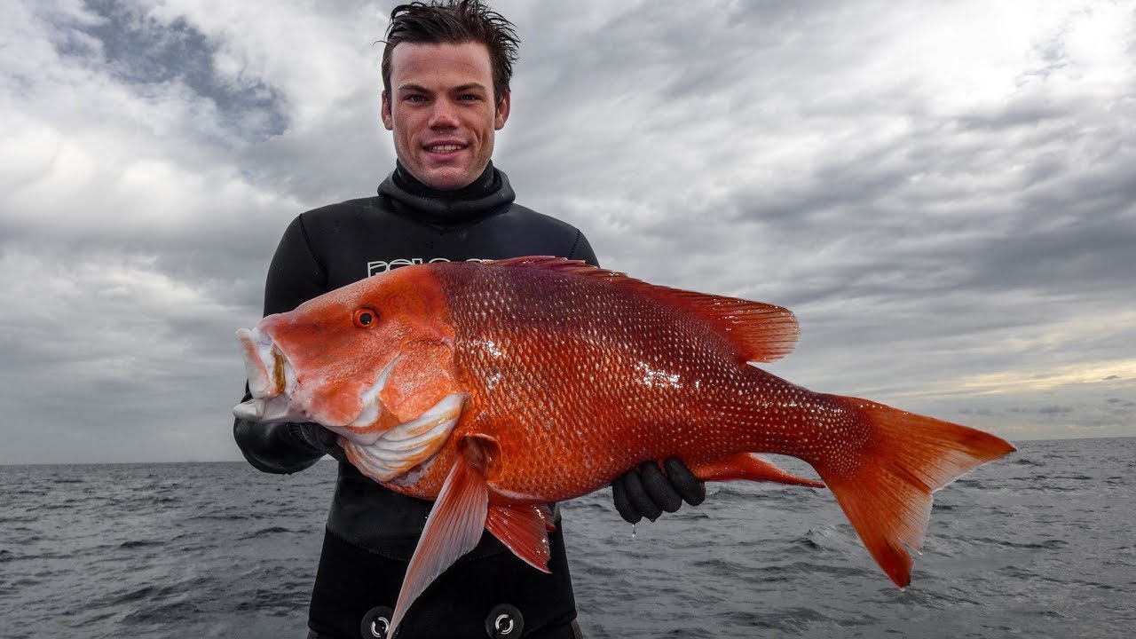 Possibly my favourite Spearfishing trip in Australia & first Red ...