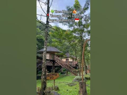 Asyiknya Staycation di Rumah Pohon Tree House Taman Safari Lodge Bogor #tamansafaribogor # ...