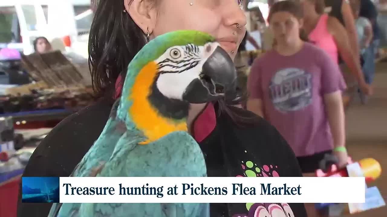 Unique finds & experiences at Upstate flea marker - YouTube