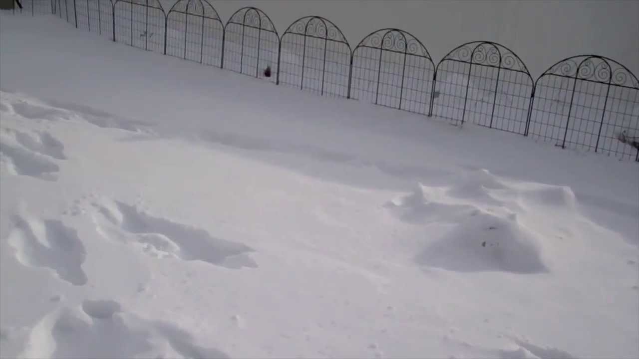 Boiling Water Trick Cold Weather - YouTube