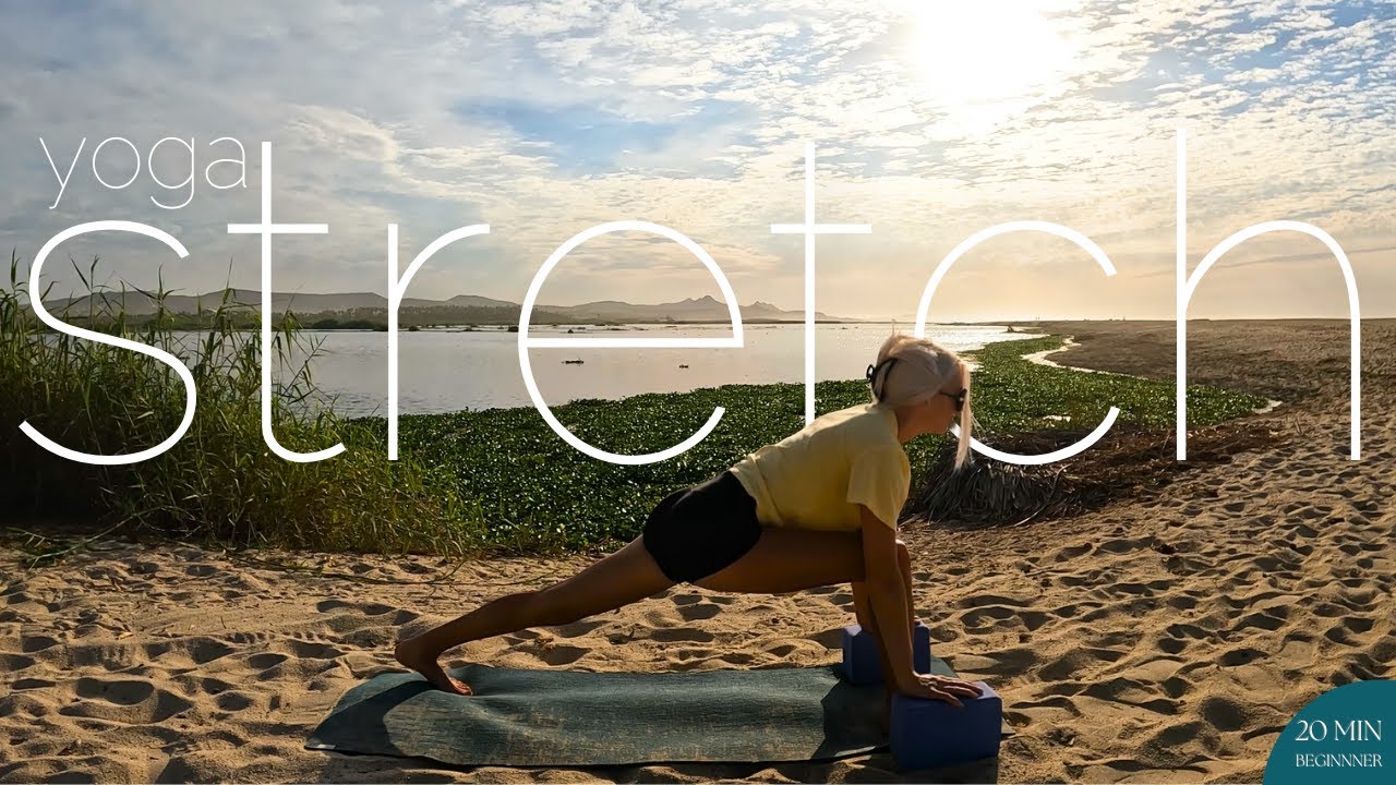 Quick Full Body Yoga Stretch Flow for Stiff Muscles / No Music / 20 min ...