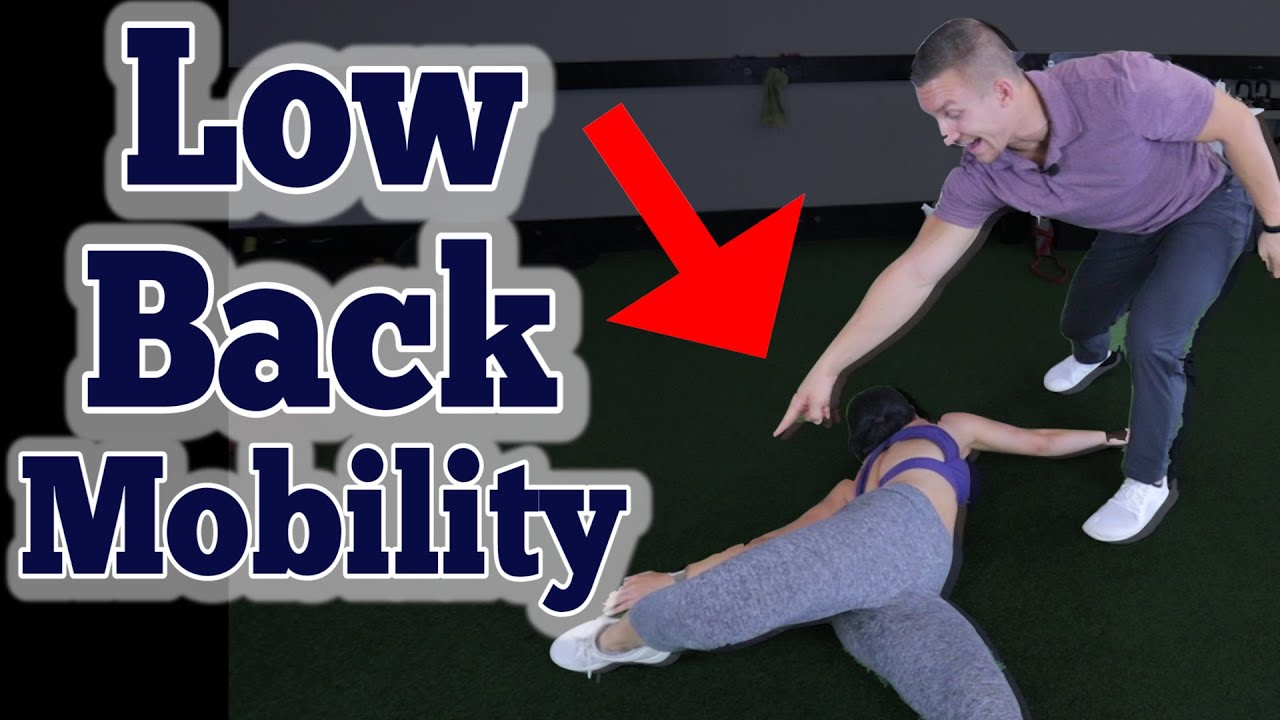 Exercises for Low Back Pain and Mobility | Low Back Mobility - YouTube