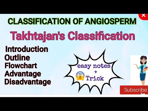 Takhtajan Classification of Angiosperm|| Notes on Takhtajan ...