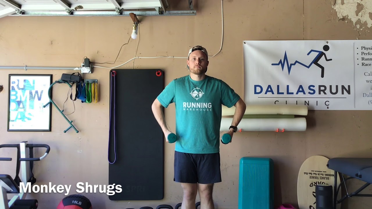 Monkey Shrugs - YouTube