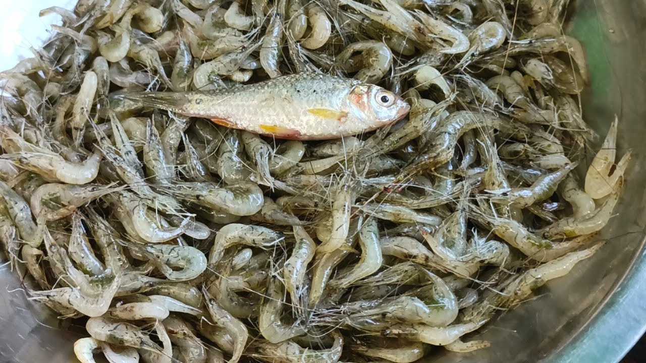 Jhinga Machhali |झींगा मछली बनाने का नया तरीका सब उंगलियां चाट कर ...