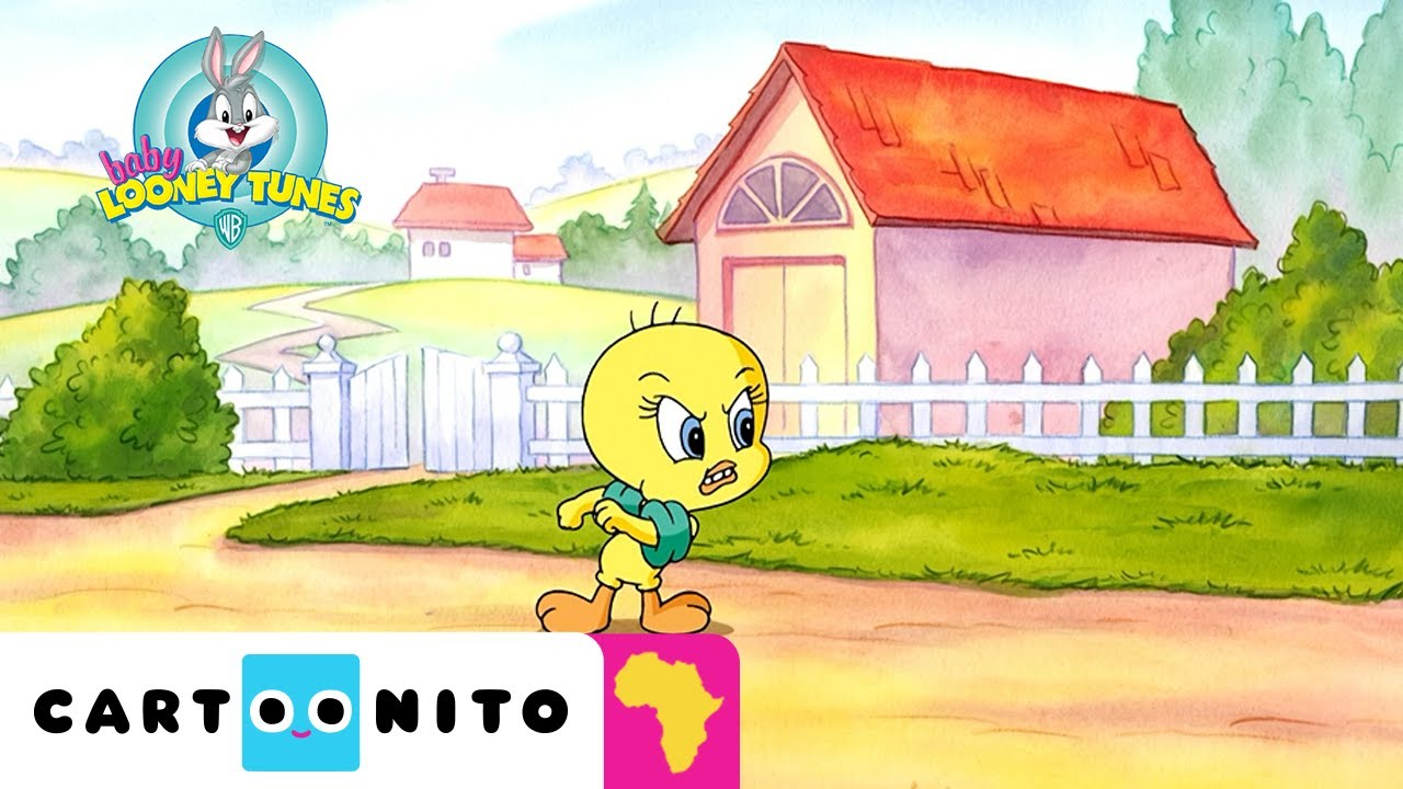 Tiny Tweety | Baby Looney Tunes l Cartoonito Africa - YouTube