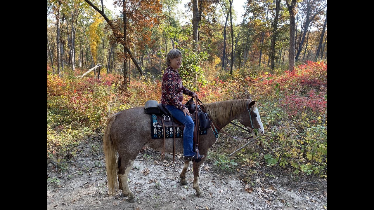 Camp & Ride Shimek State Forest, SE Iowa with Iowatrailrider - YouTube